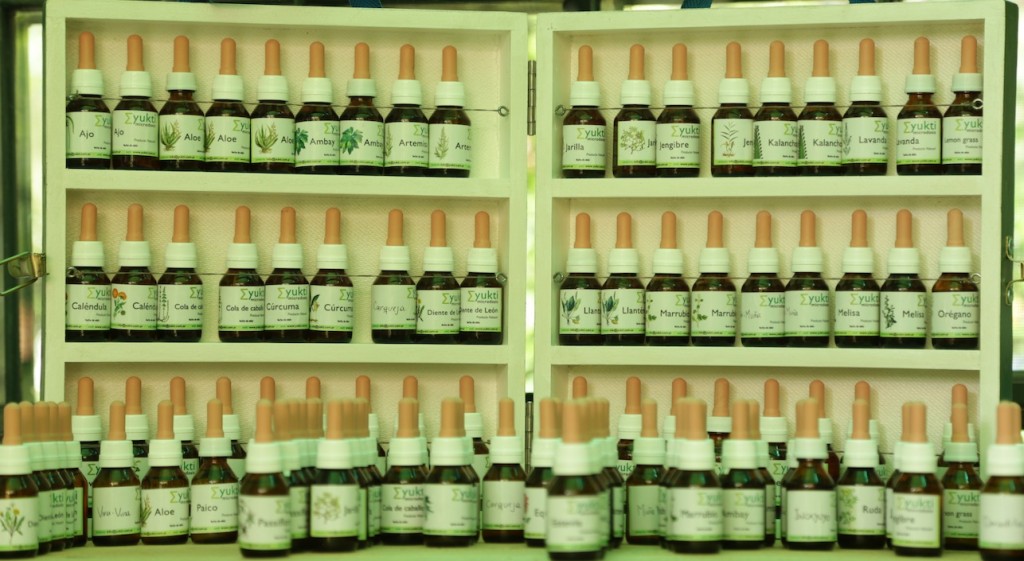 ¿Qué es Microdosis? – yukti | microdosis plantas medicinales